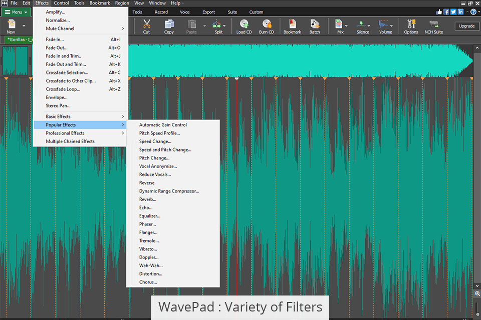 Adobe Audition vs WavePad: What Program to Choose?