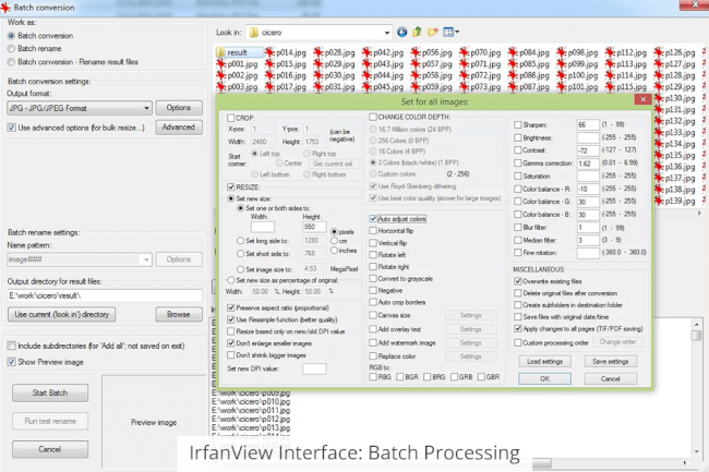 Microsoft Photos vs IrfanView: Which Software Is Better?