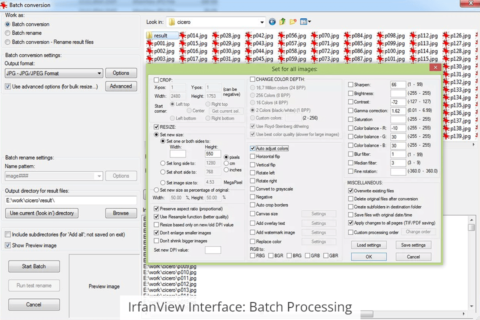 Microsoft Photos vs IrfanView: Which Software Is Better?