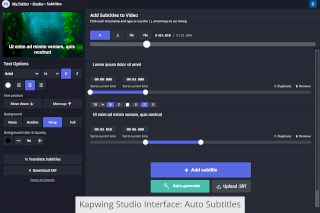 Adobe Premiere Pro vs Kapwing: Which Software Is Better?