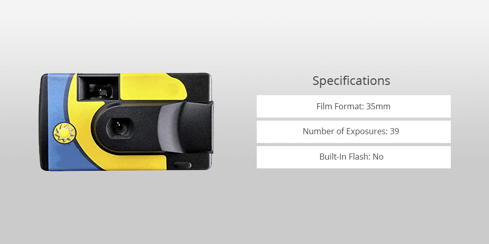 11 Best Disposable Cameras in 2025