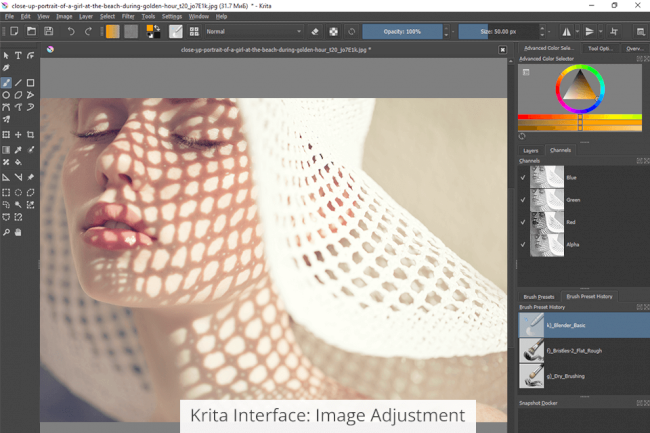 Photopea vs Krita: Which Software Is Better?