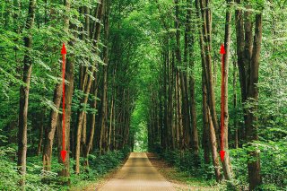 How to Use Leading Lines in Photography: 18 Tips