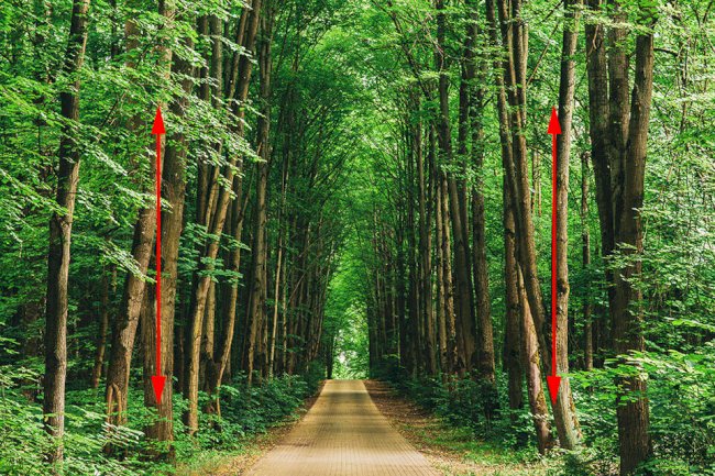 How to Use Leading Lines in Photography: 18 Tips