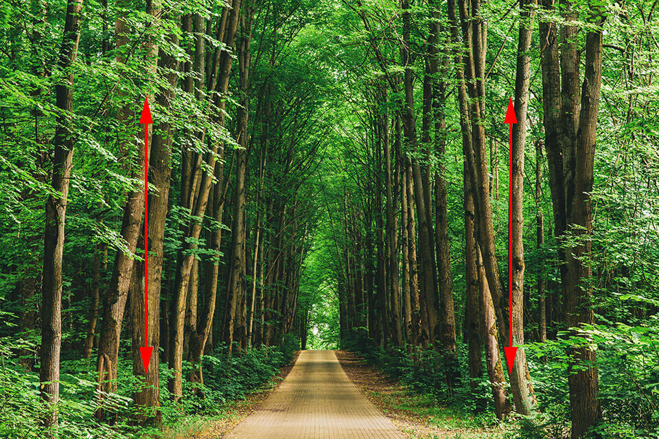 How to Use Leading Lines in Photography: 18 Tips