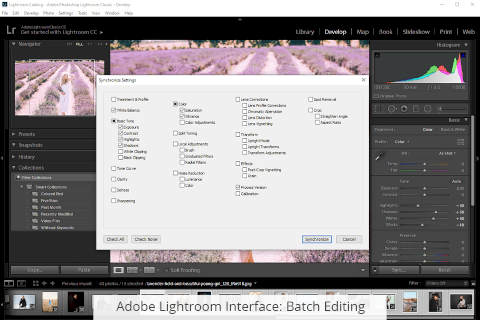 Darktable vs Lightroom: What Software Is Better?