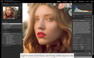 Adobe Bridge vs Lightroom 2025: Which Program to Choose?