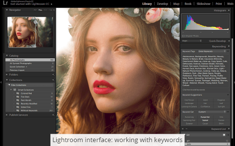 Adobe Bridge vs Lightroom 2025: Which Program to Choose?