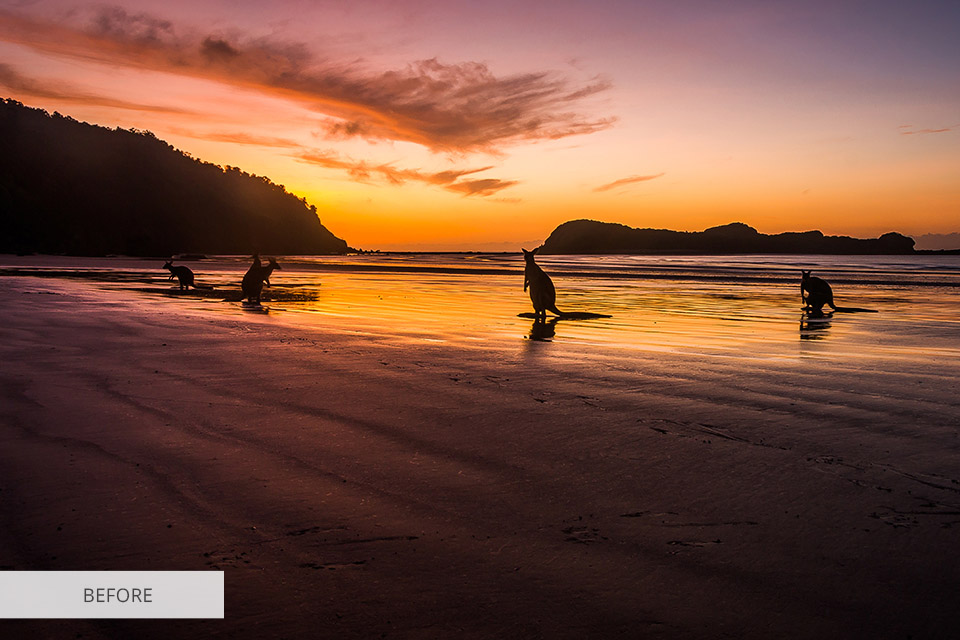 How to Add Watermark in Lightroom – 2 Methods