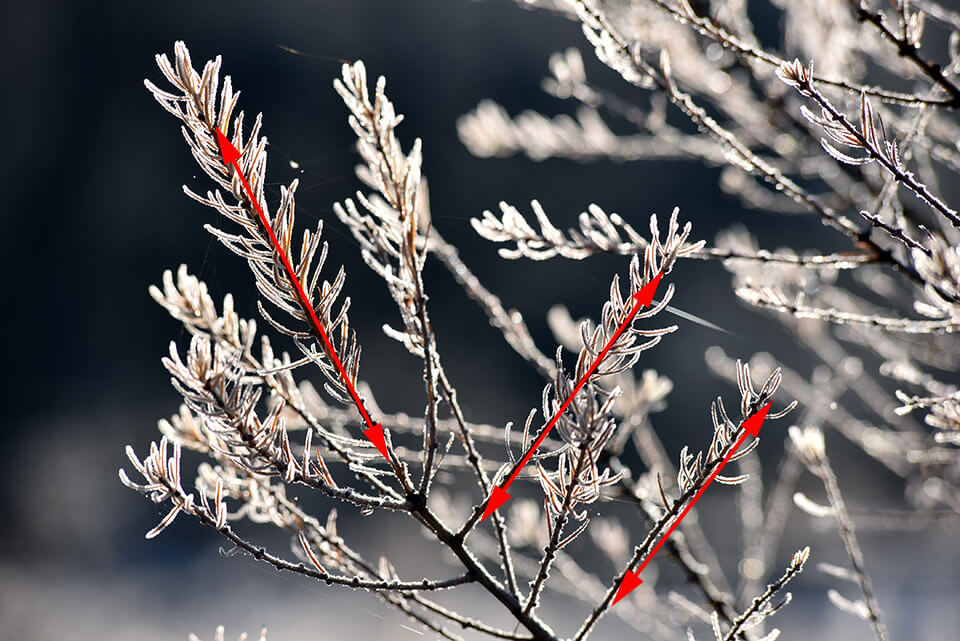How to Use Leading Lines in Photography: 18 Tips