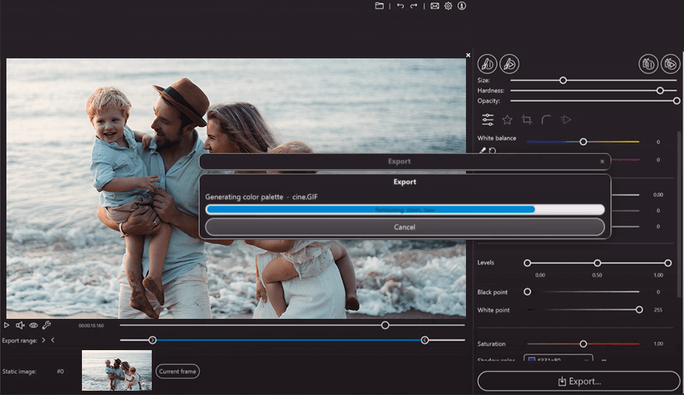 12 Best Cinemagraph Software in 2021