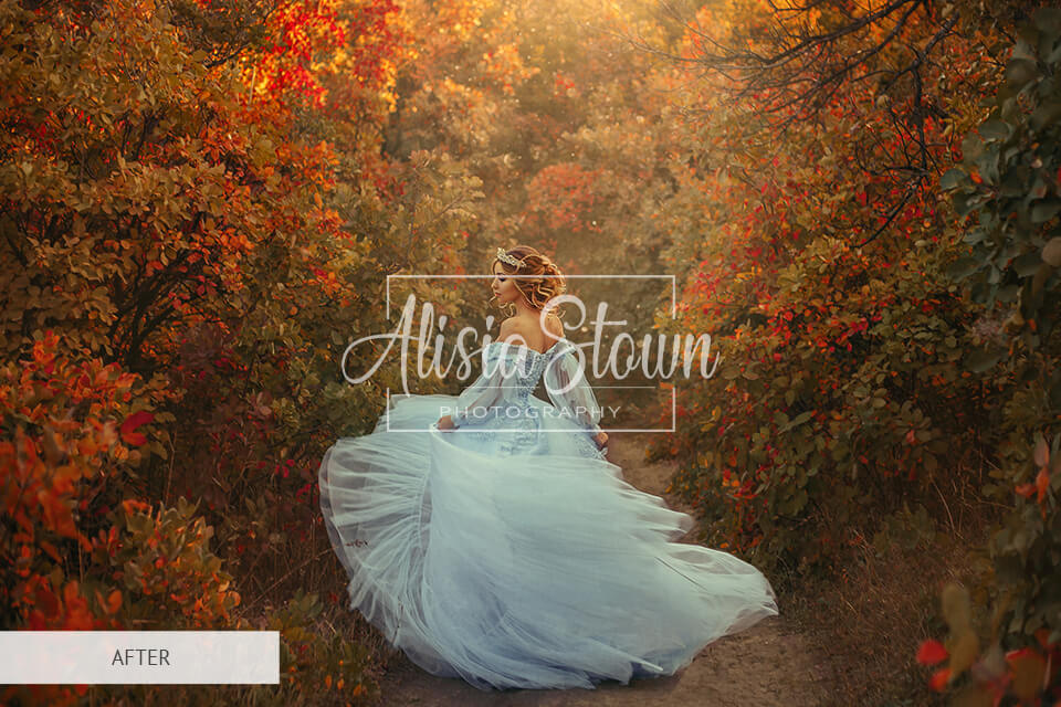 How to Add Watermark in Lightroom – 2 Methods