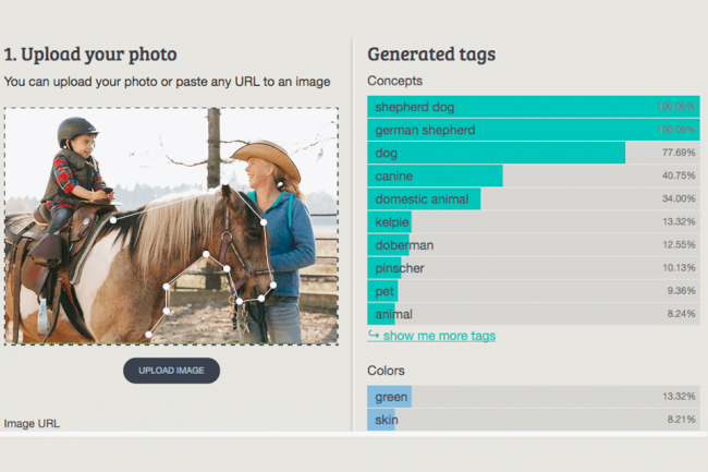 9 Best Image Recognition Software in 2025