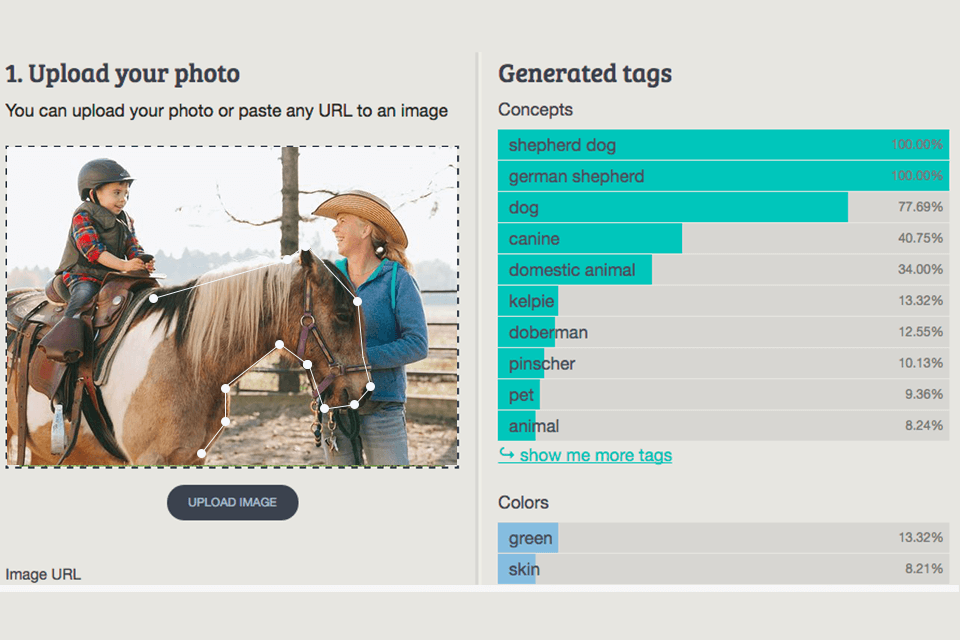 9 Best Image Recognition Software in 2025