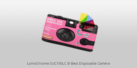 11 Best Disposable Cameras in 2025