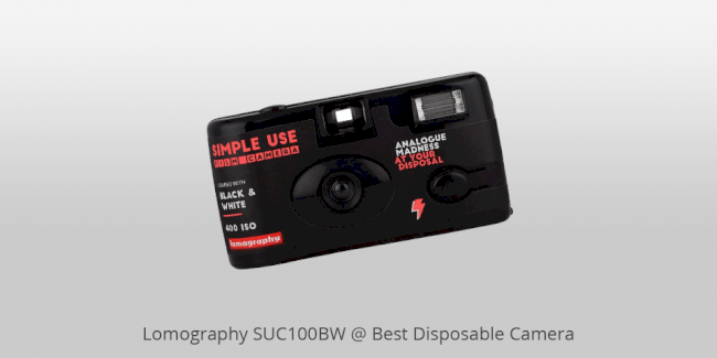 11 Best Disposable Cameras in 2025