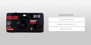 11 Best Disposable Cameras in 2025