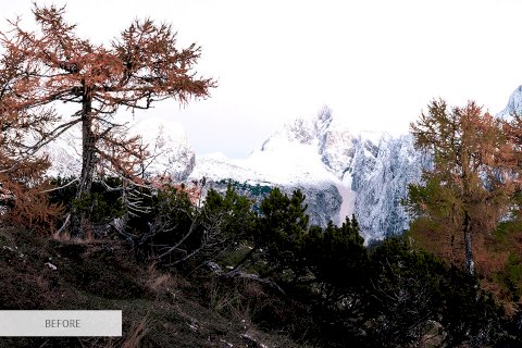 Adobe Activator 2025: Universal Adobe CC Activator Download