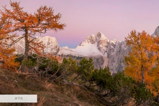 Adobe Activator 2025: Universal Adobe CC Activator Download