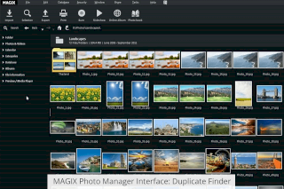 MAGIX Photo Manager vs ACDSee: Which Software is Better?