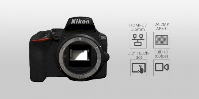 10 Best Nikon Cameras for Video in 2023