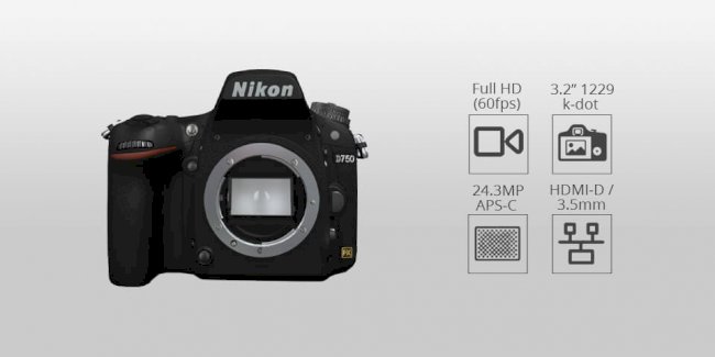 10 Best Nikon Cameras for Video in 2022