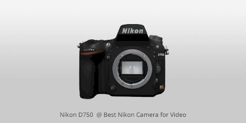 10 Best Nikon Cameras for Video in 2023