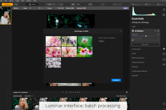 ON1 vs Luminar 2021: Which Is Better?
