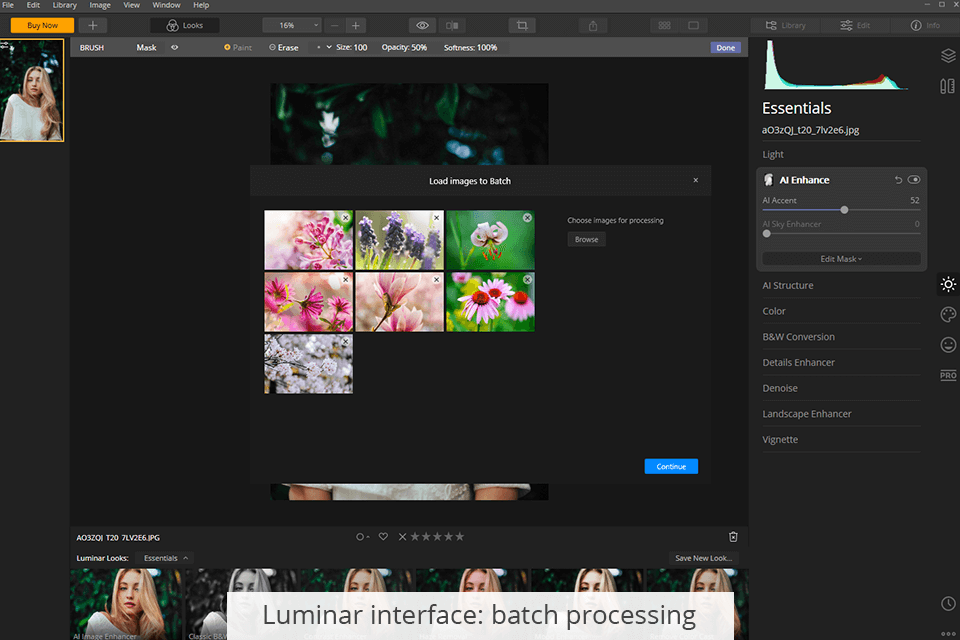 ON1 vs Luminar 2021: Which Is Better?