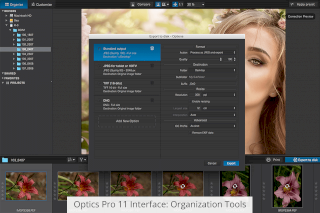 DxO PhotoLab vs Optics Pro 11: Which Software Is Better?