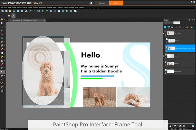Paintshop Pro vs Affinity Photo: What Software to Choose?
