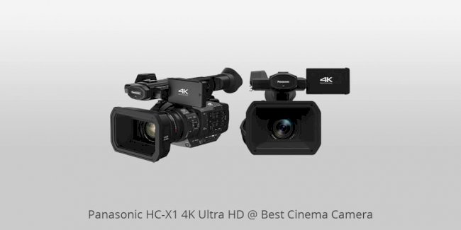 11 Best Cinema Cameras in 2024