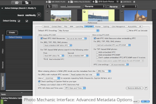 Photo Mechanic vs IMatch: What Is Better?