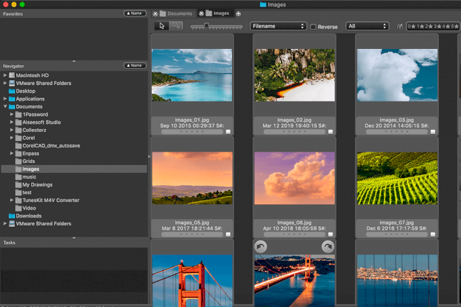 8 Best Photo Culling Software in 2025