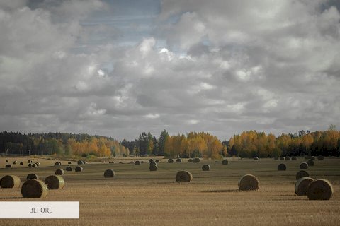 11 Negative Space Photography Tips