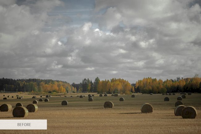 11 Negative Space Photography Tips