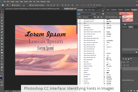 Photoshop CC vs CS6: What Version to Choose?