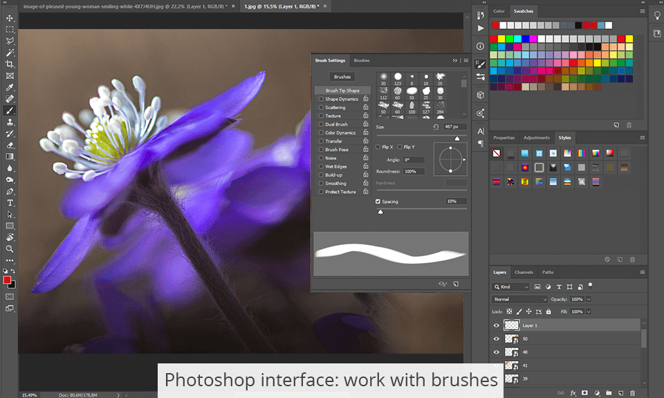Procreate vs Photoshop: What Program to Install?