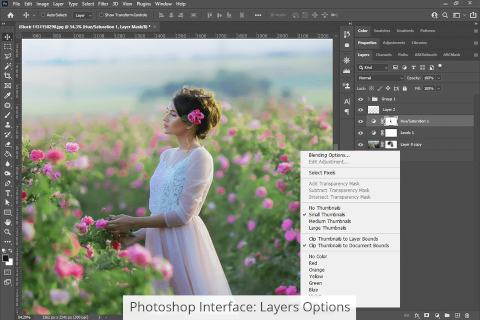 PhotoWorks vs Photoshop: Which Software to Use?