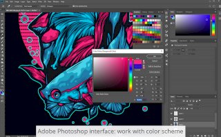 Corel Painter vs Photoshop: What Software to Install?