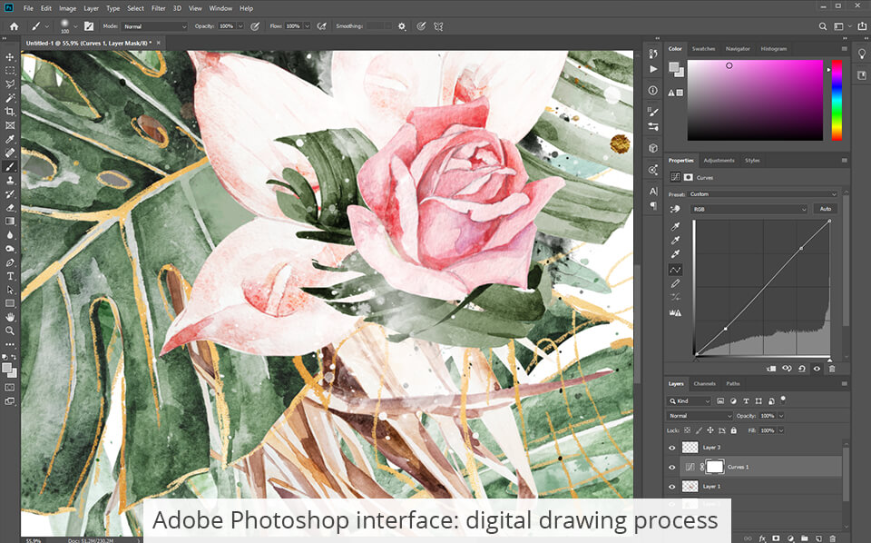 Corel Painter vs Photoshop: What Software to Install?