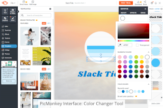 PicMonkey vs Illustrator: Which Software is Better?