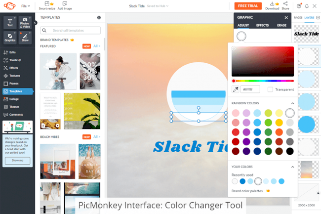 PicMonkey vs Illustrator: Which Software is Better?