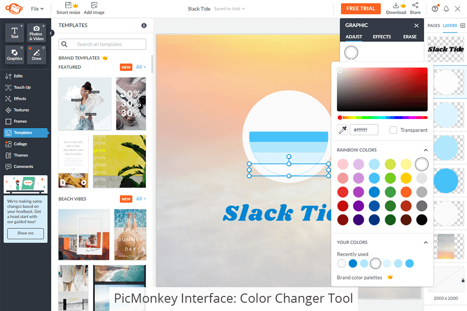 PicMonkey vs Illustrator: Which Software is Better?