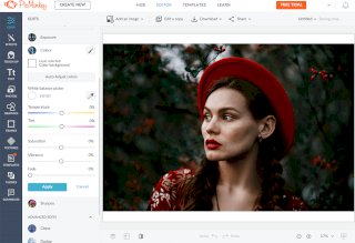 Picmonkey Review 2025 by Experts – Is PicMonkey Still Free?