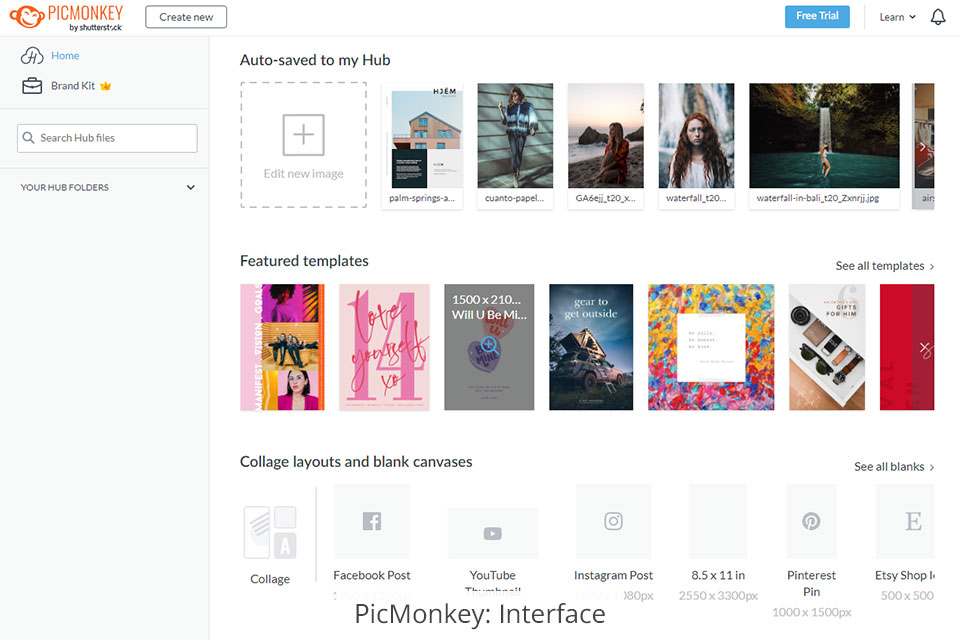 PicMonkey vs Luminar: Which Tool Is Better?