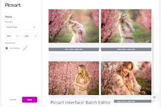 Luminar AI vs Picsart: Which One is Better?