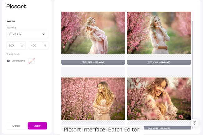 Luminar AI vs Picsart: Which One is Better?