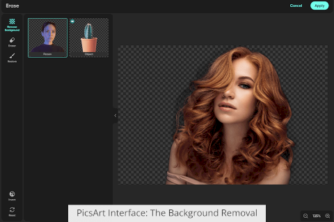 Adobe Express vs PicsArt: Which Software is Better?