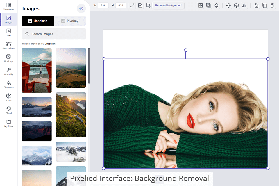 Pixelied vs Canva: Which Software is Better?